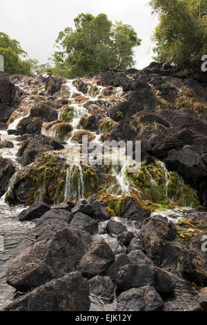 Blanche Marie Falls in the Nickerie River, Suriname Stock Photo - Alamy