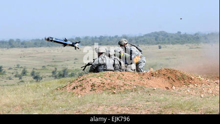 A Soldier assigned to 2nd Squadron, 14th Cavalry Regiment, 2nd Stryker ...