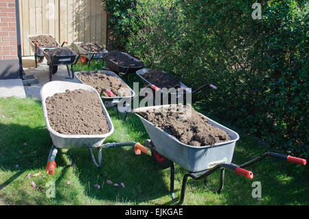 Eight wheelbarrows full of soil at a garden Stock Photo - Alamy