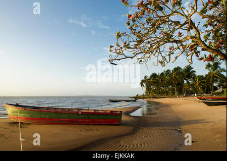 Beach, Galibi, Suriname Stock Photo - Alamy