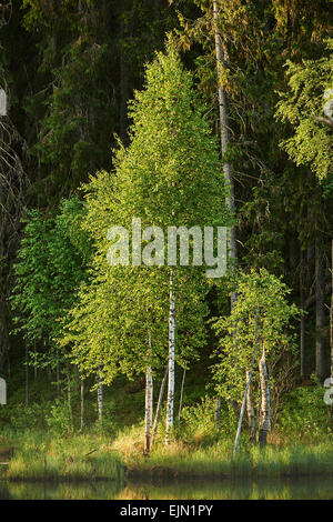 Beautiful Finnish countryside in spring. Panorama Stock Photo - Alamy