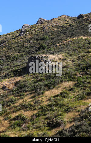 Korowai/Torlesse Tussocklands Park New Zealand in Torlesse and Big Ben ...