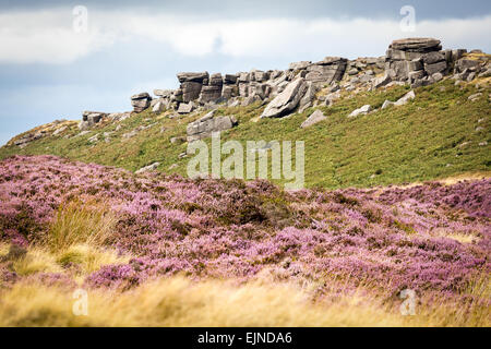 Views of heather from The Dale, Hope Valley, above Heathersage in the ...