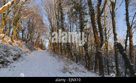 The Castle, Castle Eden Dene, Peterlee, County Durham Stock Photo - Alamy