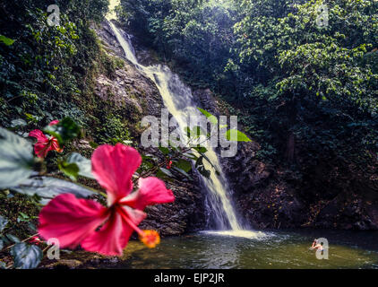 Biausevu Waterfall near Korolevu Coral Coast Fiji Stock Photo - Alamy
