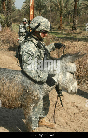 Members of the military police platoon attached to Alpha Troop, 1st ...