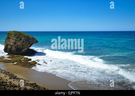 Rock formation by the ocean at Guajataca. Isabela, Puerto Rico. US ...