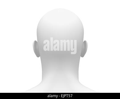 Front and Back View of Male Muscle Anatomy Stock Photo - Alamy