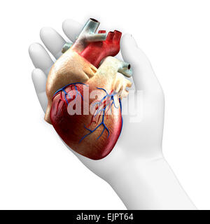 Hand holding a heart Stock Photo - Alamy