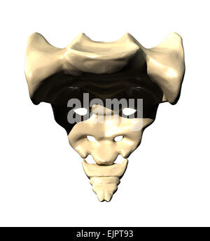 Anterior or front view of human sacrum and lumbar vertebrae isolated on ...