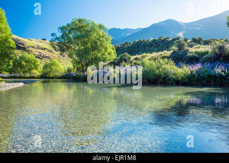 The Motatapu River in Ortago, South Island, New Zealand on a clear ...