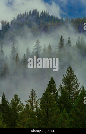 Mountain Ridge Treetops Color Stock Photo - Alamy