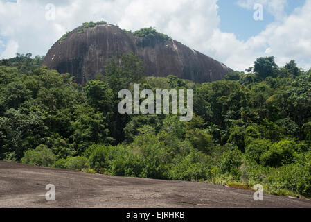Central Suriname nature Reserve Stock Photo - Alamy