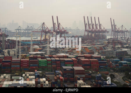 Shipping Containers and Cranes Modern Terminals Hong Kong Docks Stock ...