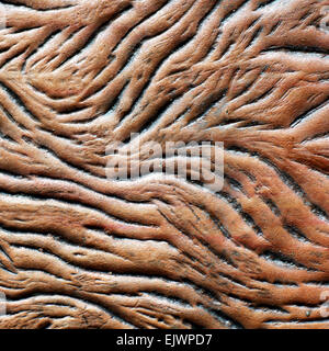 Tree bark tile floor decoration Stock Photo - Alamy