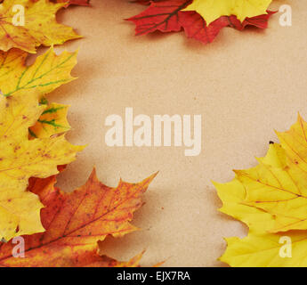 Red fall maple tree covered in snow,South Korea Stock Photo - Alamy