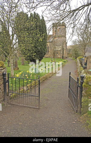 Ancient yew tree at the St. Peter's Church, Tandridge, Surrey, England ...
