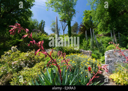 achamore gardens isle of gigha Stock Photo - Alamy