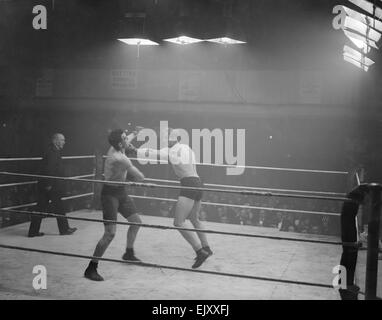 Joe Beckett, British heavyweight boxing champion Stock Photo - Alamy