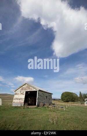 Old barn in New Zealand countryside Stock Photo - Alamy