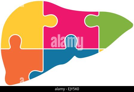 Human Liver Jigsaw Puzzle Pieces Abstract Vector Stock Vector Image ...