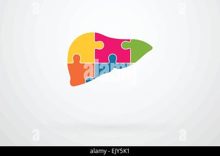 Human Liver Jigsaw Puzzle Pieces Abstract Vector Stock Vector Image ...