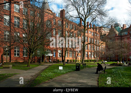 Simon Building University of Manchester UK Stock Photo - Alamy