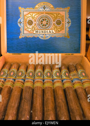 Hand rolled boxed cigars, Ybor City, Tampa, Florida, USA Stock Photo ...