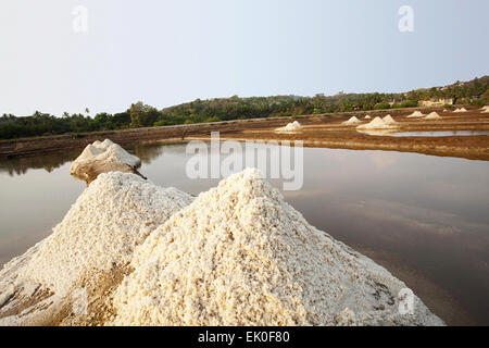 Salt evaporation ponds in India salterns or salt pans collecting salt ...