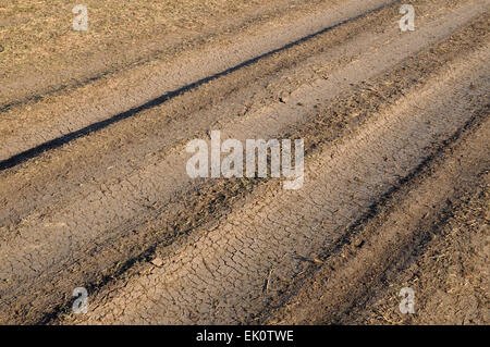 Dried dirt road in the spring Stock Photo: 80539402 - Alamy