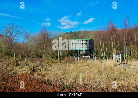 Cors Dyfi, a nature reserve run by the Montgomery Wildlife Trust, near ...