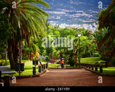 Taoro Park, Puerto de la Cruz, Tenerife, Canary Islands, Spain Stock ...