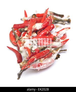 Rotten chili pepper isolated on white background. The natural color and ...