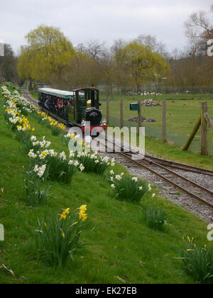 Marwell Wildlife Railway, Marwell Zoo, Hampshire, England Stock Photo ...