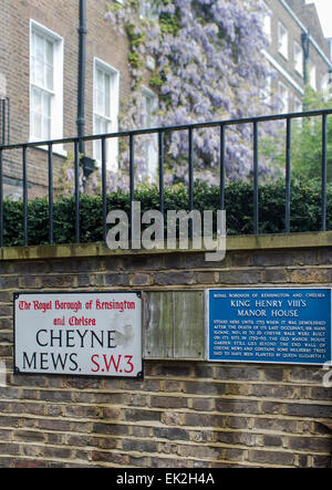 Mews House, Chelsea, London Stock Photo - Alamy