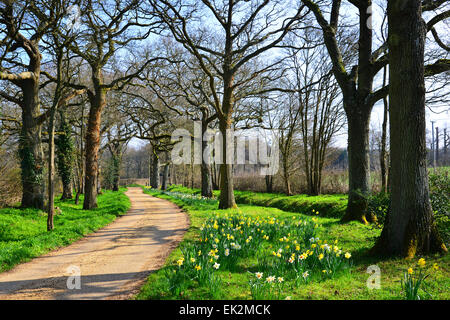Hope Farm, The Haven, Five Oaks Stock Photo - Alamy