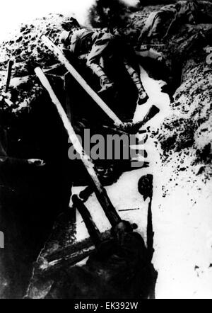 World War I. Corpses in a German trench Stock Photo: 49919022 - Alamy