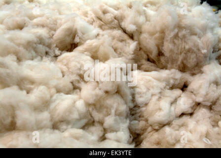 sheep wool production factory Stock Photo - Alamy