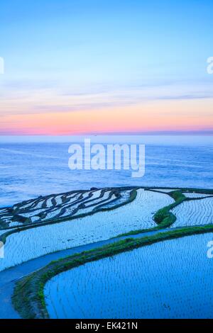 Wajima, Japan at Shiroyone Senmaida rice terraces night light up Stock ...