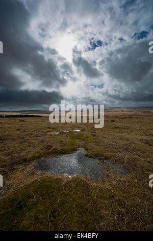 Gidleigh common bleak Dartmoor Stock Photo - Alamy