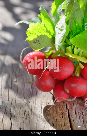 Bunch of organic radish on wood Stock Photo - Alamy