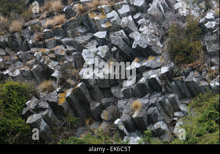 Columnar basalt lava rock formation on the North Umpqua River at Soda ...