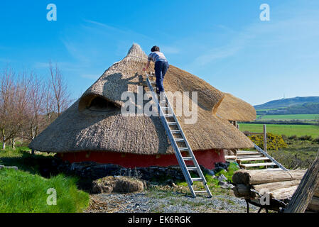 Thatching a roundhouse at the Felin Uchaf eco-centre, Rhoshirwaun. near ...