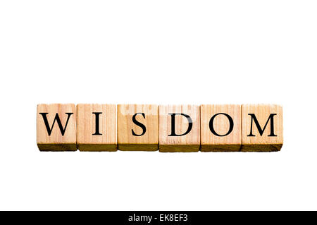 Word Wisdom. Wooden small cubes with letters isolated on black ...