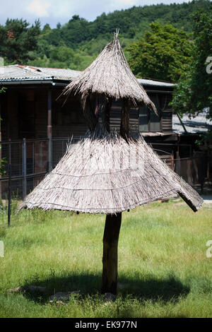 Traditional Hawaiian thatched roof house and palm trees at Kahanu ...