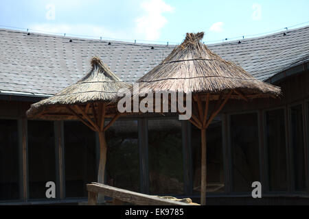 Traditional Hawaiian thatched roof house and palm trees at Kahanu ...