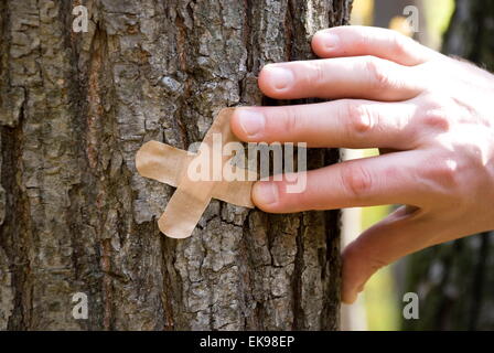 man stick plaster on wood Stock Photo - Alamy