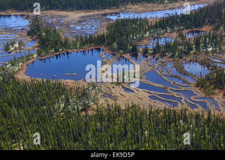 Aerial view of a boreal wetland in The Sacred Headwaters where the ...