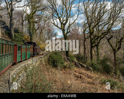 The Taliesin III, a Single Fairlie locomotive with carriages crosses ...