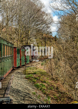 The Taliesin III, a Single Fairlie locomotive shunts backwards to ...